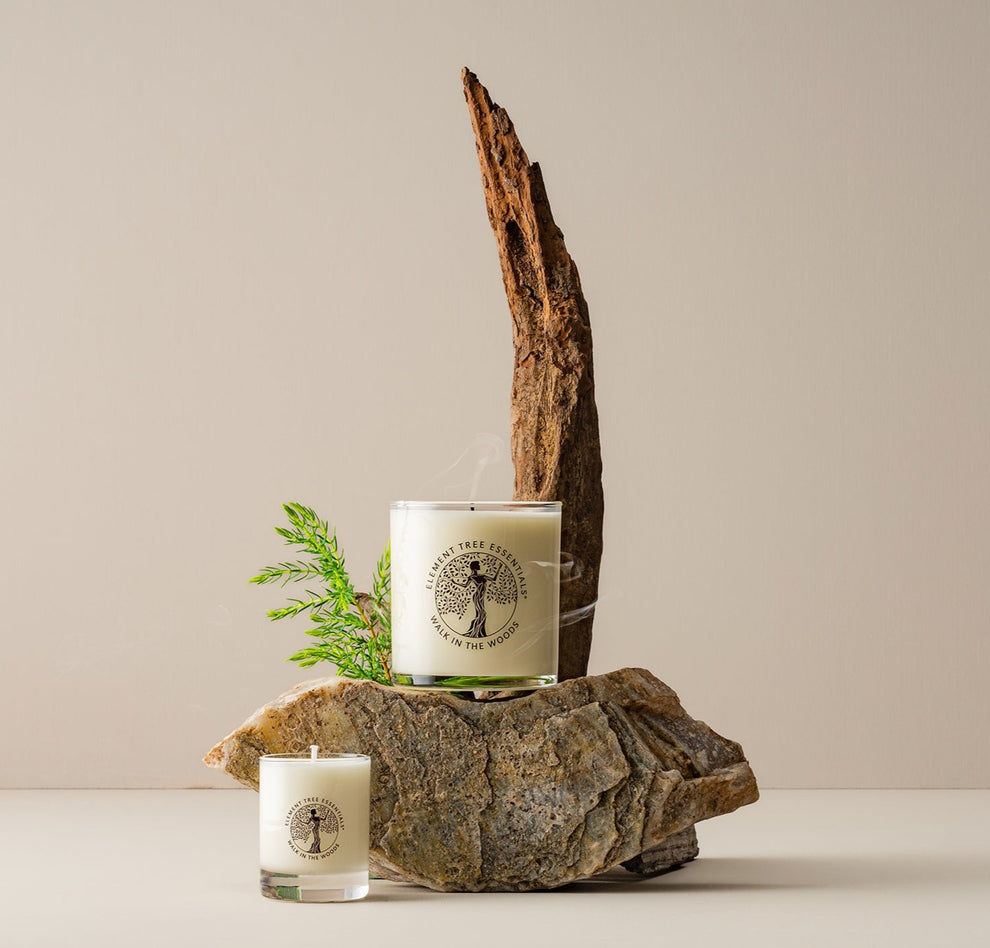 Walk in the Woods Lotion Candle – Element Tree Essentials